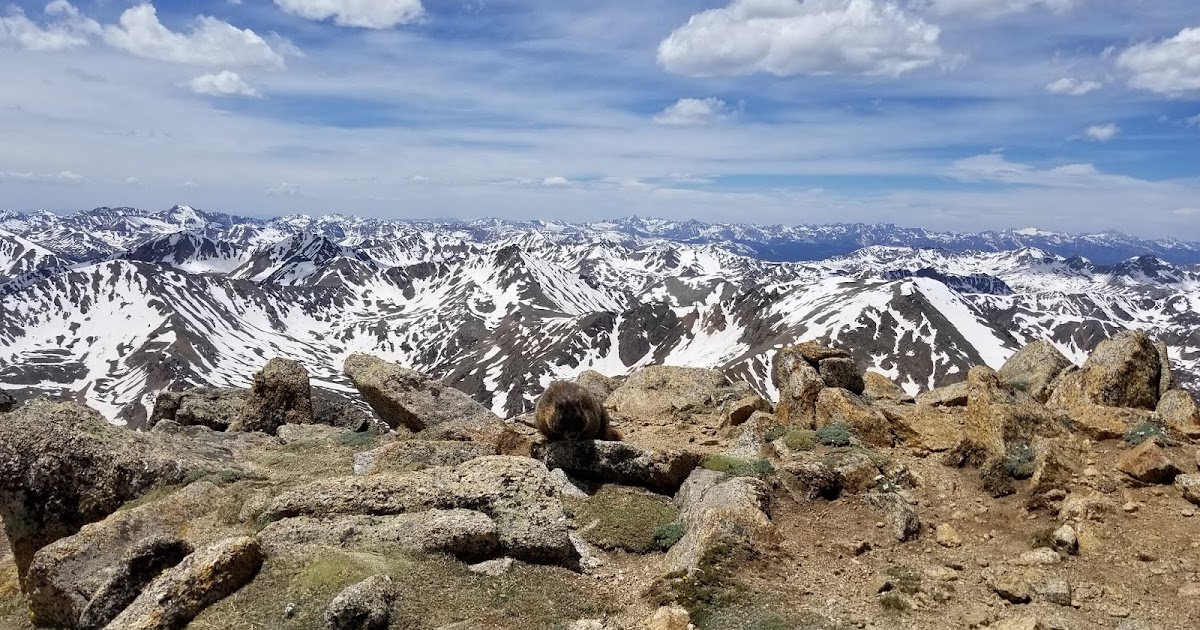 Mount Elbert And Mount Massive