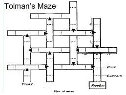 GiadaGhoneim.blog: Le mappe cognitive e l'apprendimento latente di Tolman