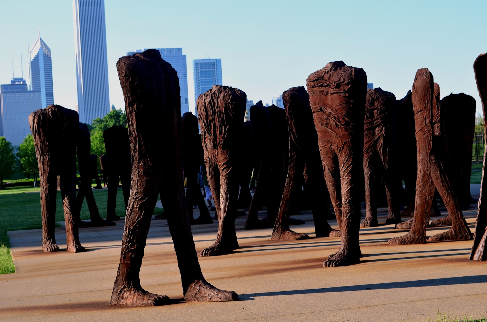 My Experiments in Photography