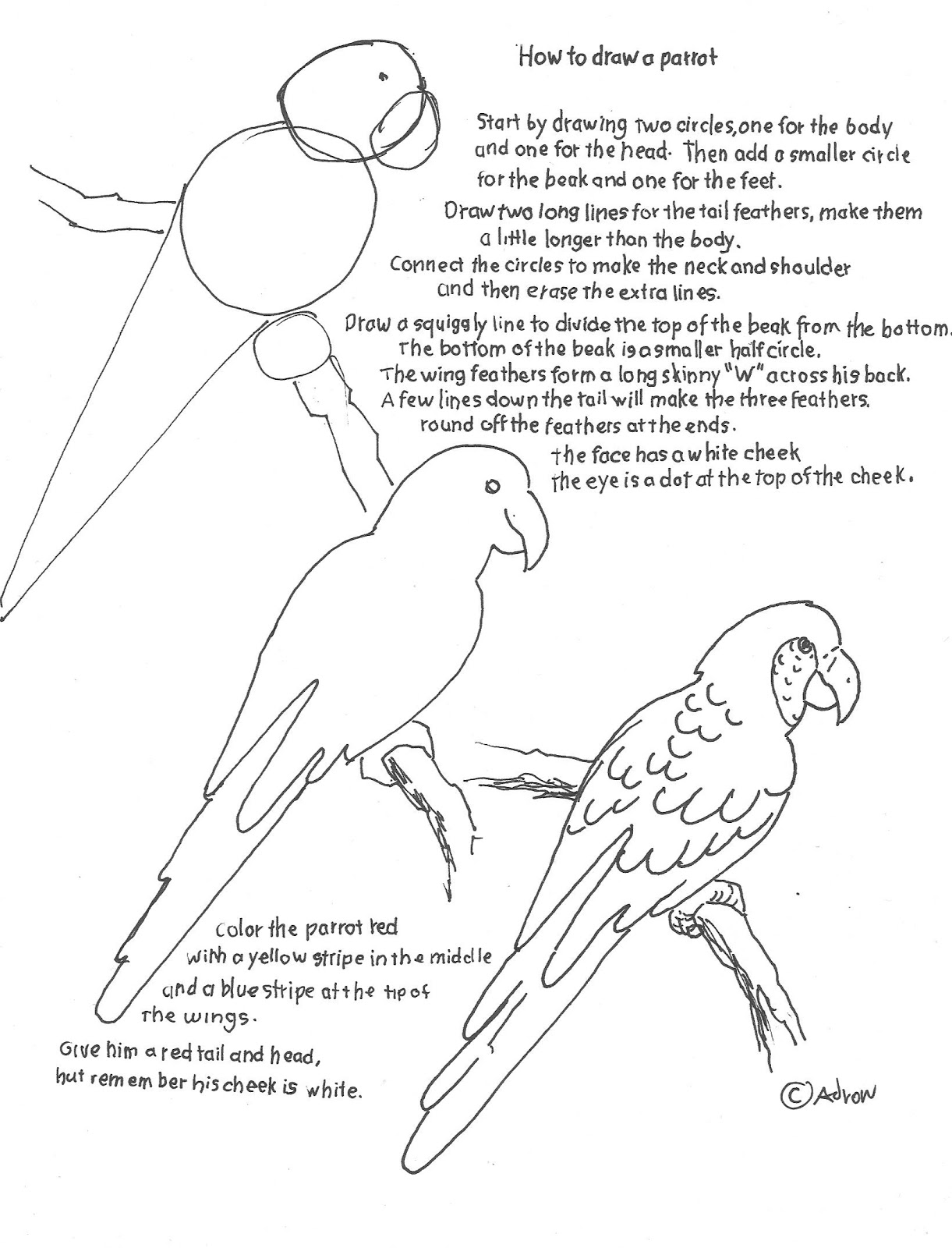 How to Draw Worksheets for The Young Artist: How to Draw a Parrot ...