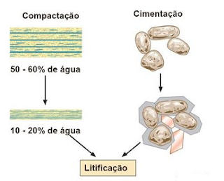 e-portfolio: Formação das rochas sedimentares