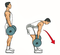 Randy Flores Strength and Conditioning