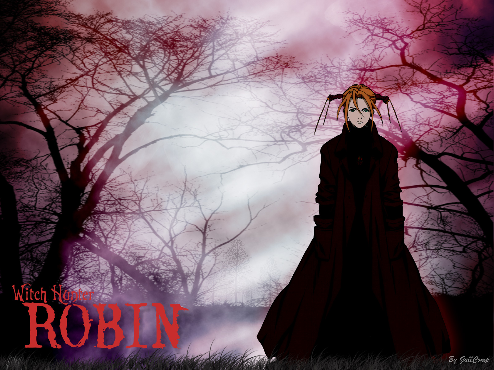 ANIME CULTURA: Witch Hunter Robin