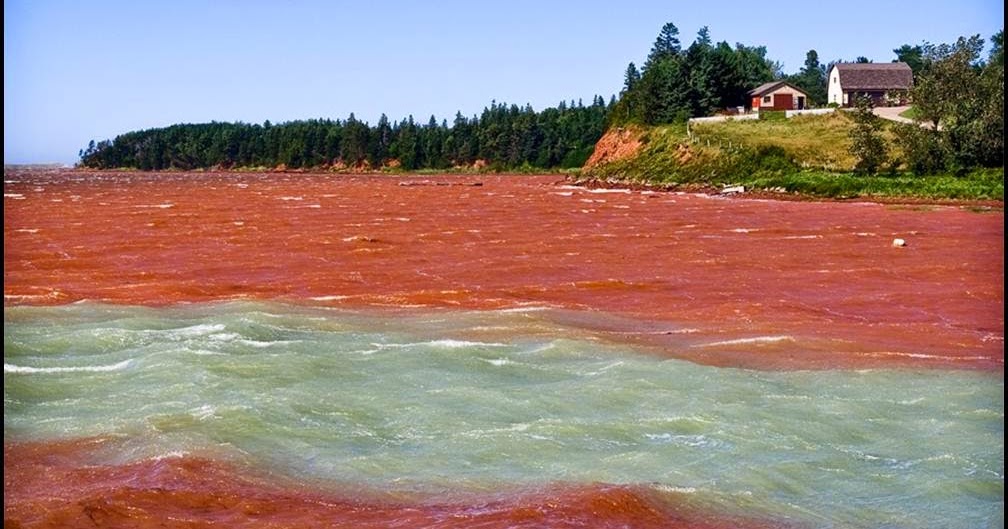 Prince Edward Island: the Island with the cobalt blue sea (Part – 2 ...