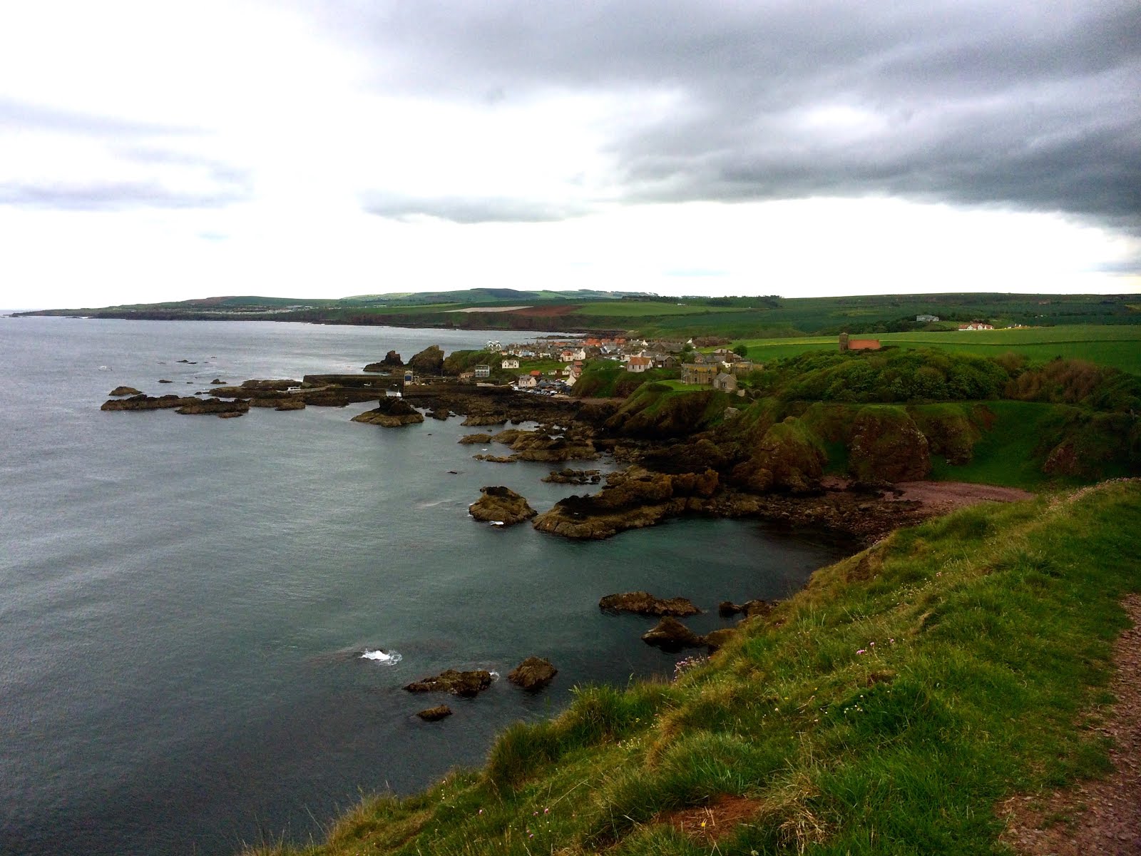 Days out in the Borders : St Abb's Head