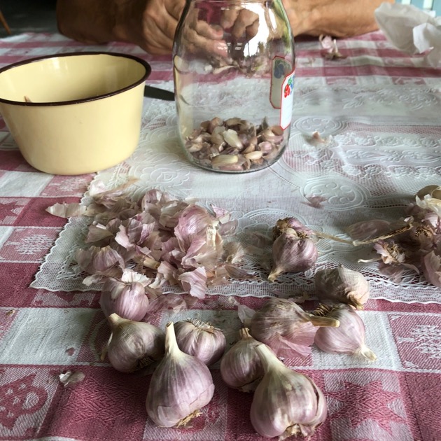 Ducks and garlic | down to earth