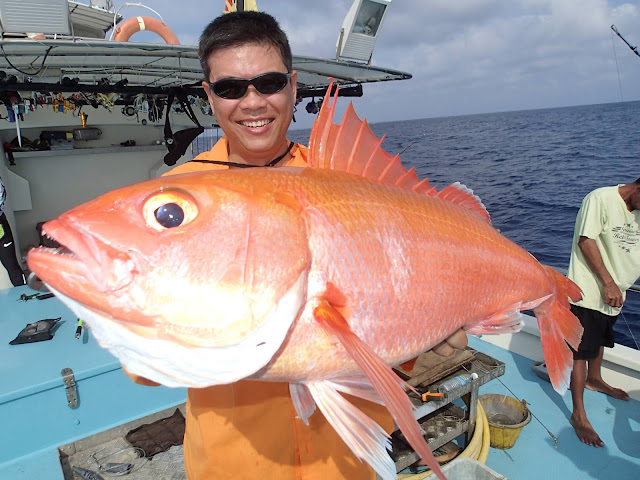 Glen's Fishing Adventures: Bintulu Marine Harvest Trip #1 - New species