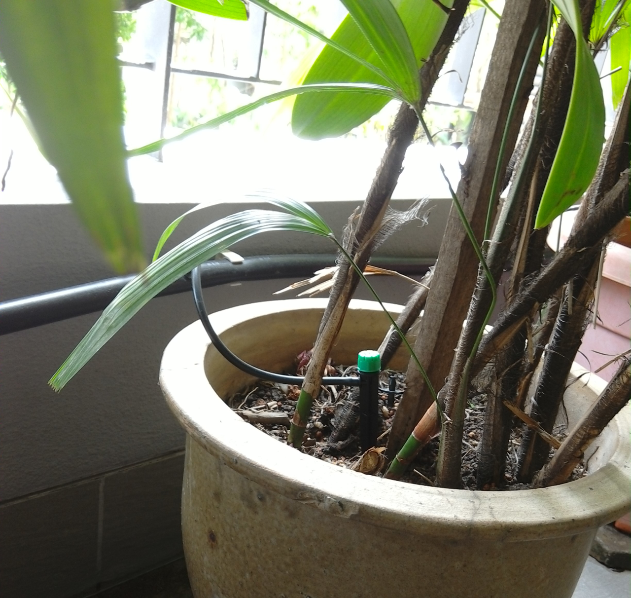 TopazTurtle Handmade: Project - Automatic drip irrigation for a balcony ...