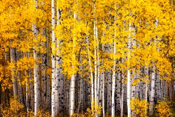 Computer: [ChatMasti] Cool Nature Effects Pictures