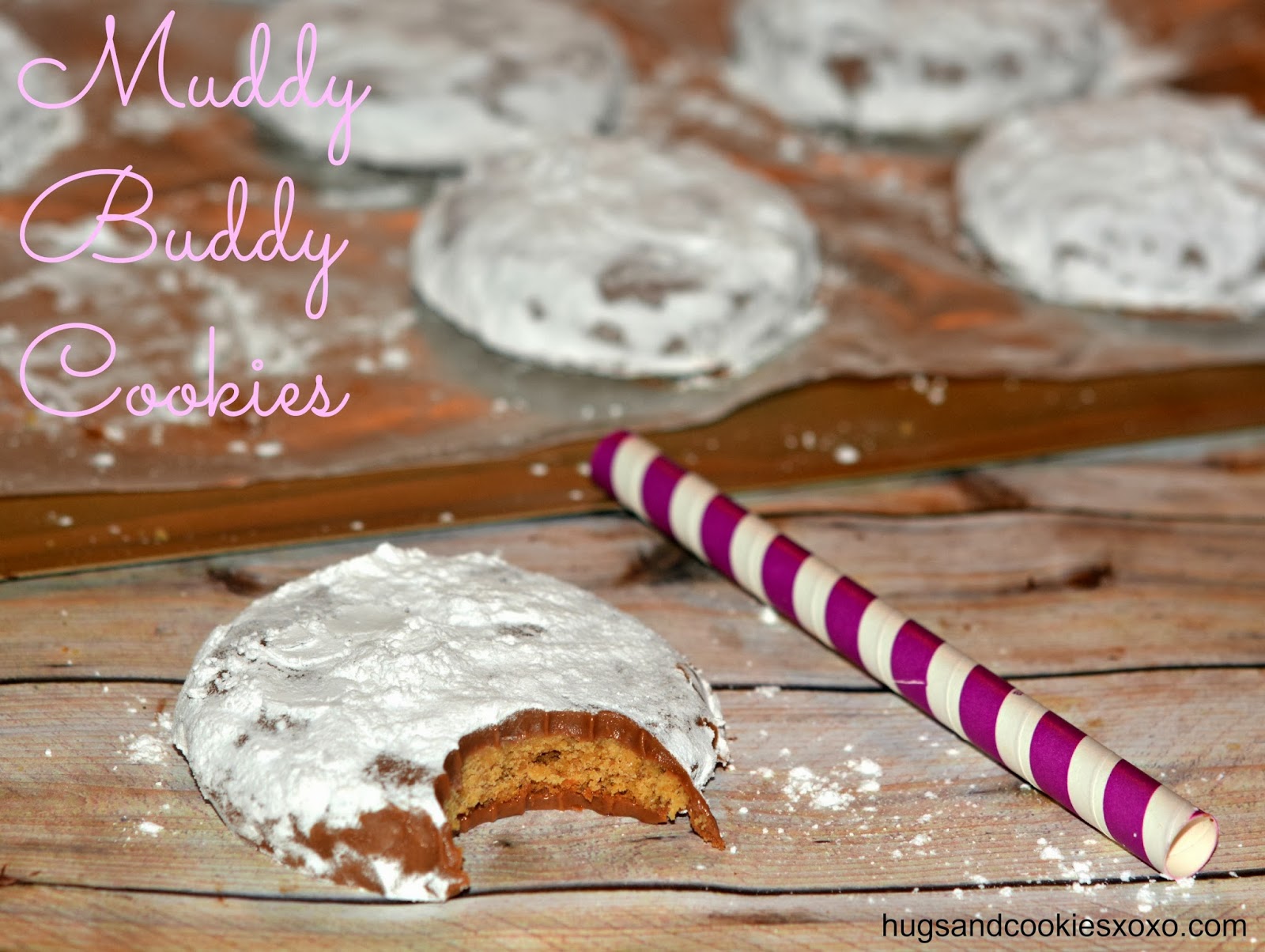 FALL IN LOVE WITH MUDDY BUDDY COOKIES - Hugs and Cookies XOXO