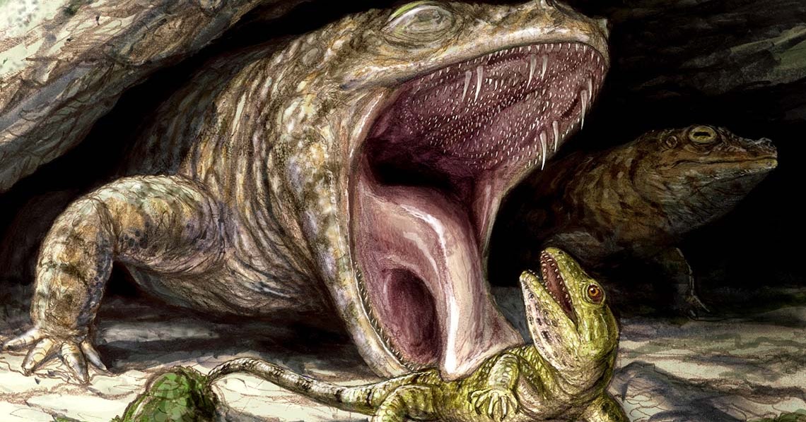 Ancient amphibian had mouthful of teeth