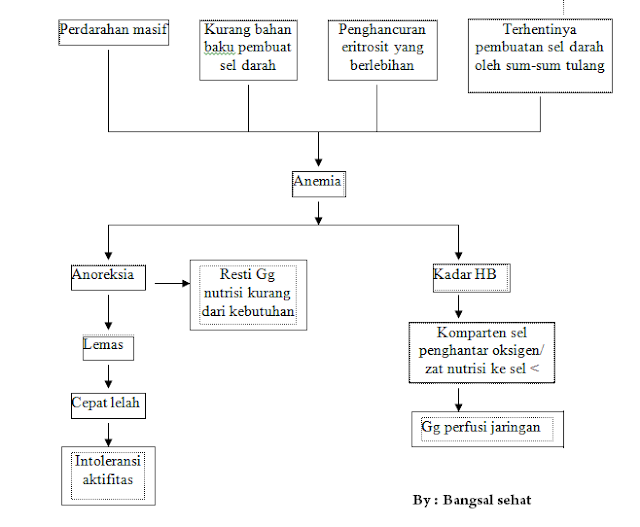 Laporan Pendahuluan / LP Anemia Lengkap, download PDF dan Ms.Word