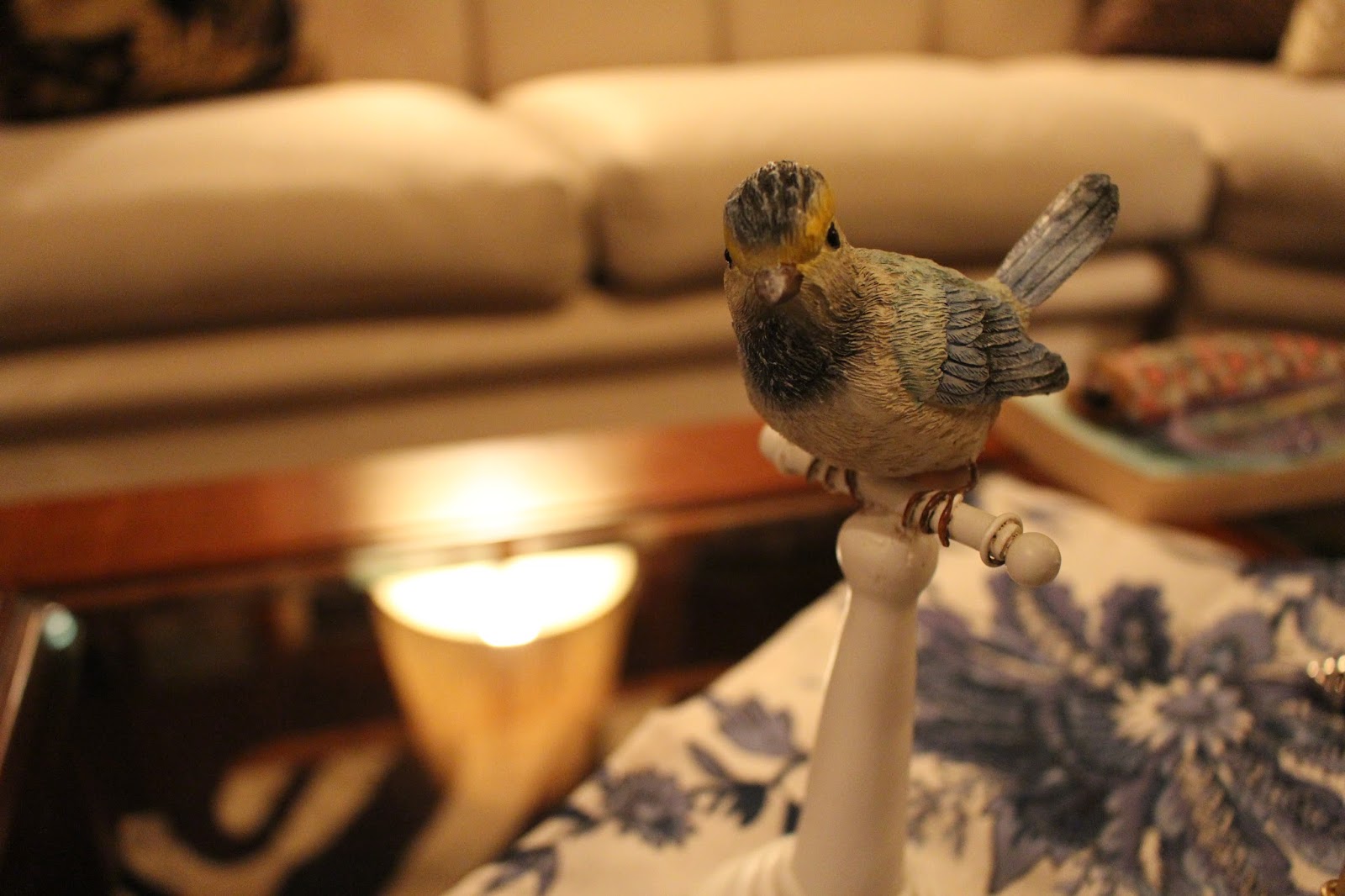 Designs by Pinky: I Created a Dish Garden for the coffee Table