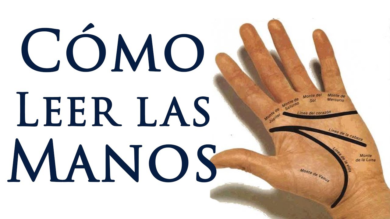 QUE SIGNIFICA LAS LINEAS EN LAS MANOS SABES COMO HACERLO : COMO LEER LA ...