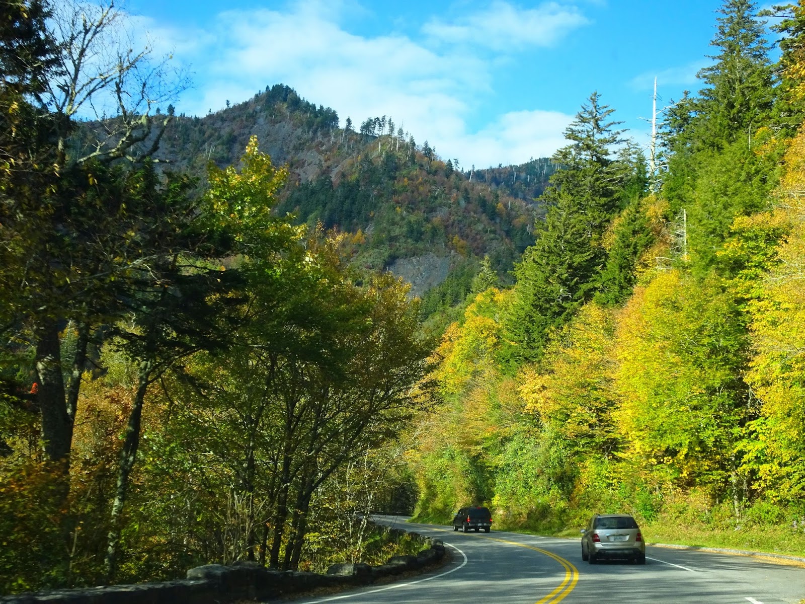 Femme au foyer: Autumn on Newfound Gap Road
