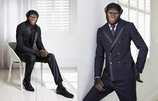 La Dolce Vita: Evoluindo com estilo: Um macaco na alta roda