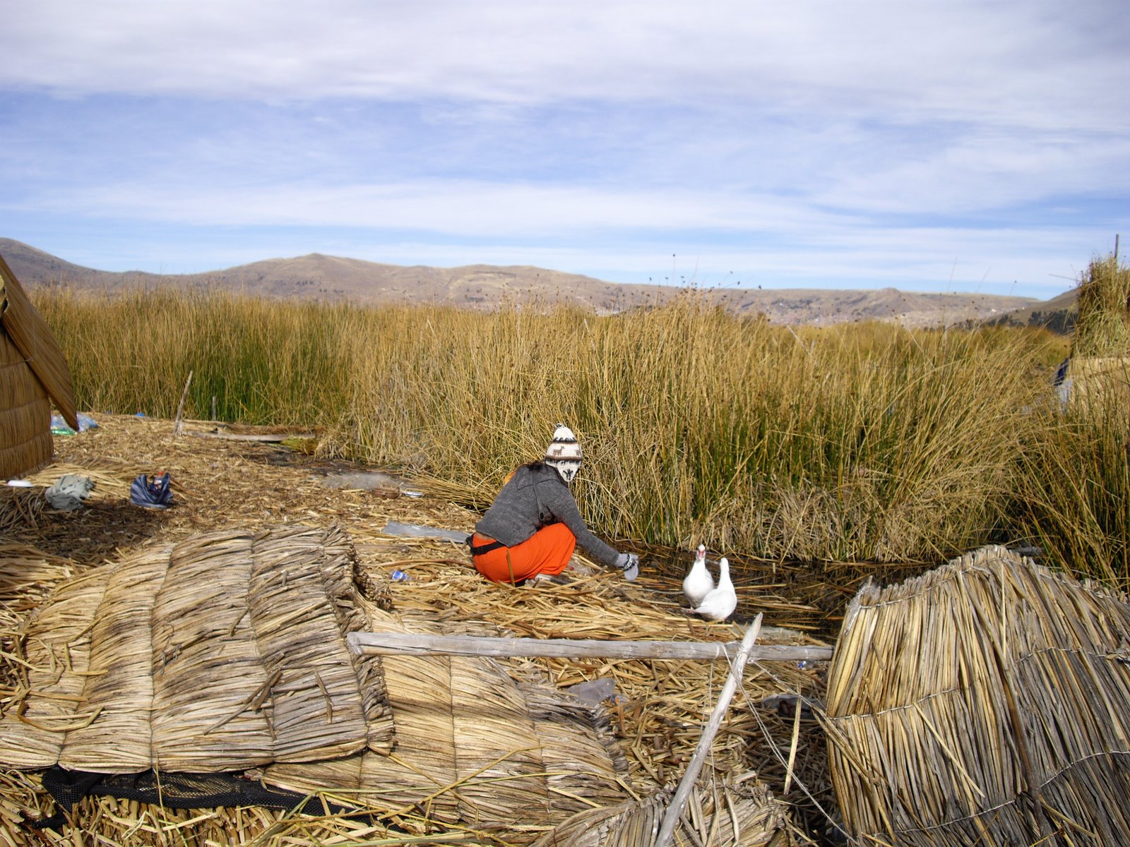 LAGO TITICACA - Visitar as ILHAS UROS, as magníficas ilhas de junco no Peru