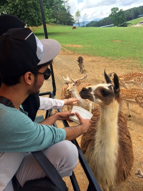 Virginia Tech Language and Culture Institute: 2017