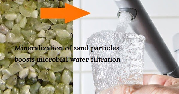 Mineralization of Sand Particles Boosts Microbial Water Filtration ...