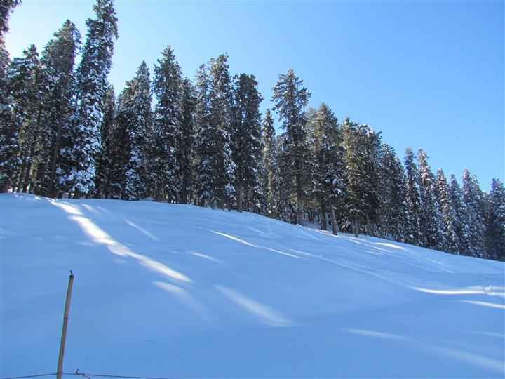 Great Indian Outdoors: Narkanda & Auli: skier’s delight