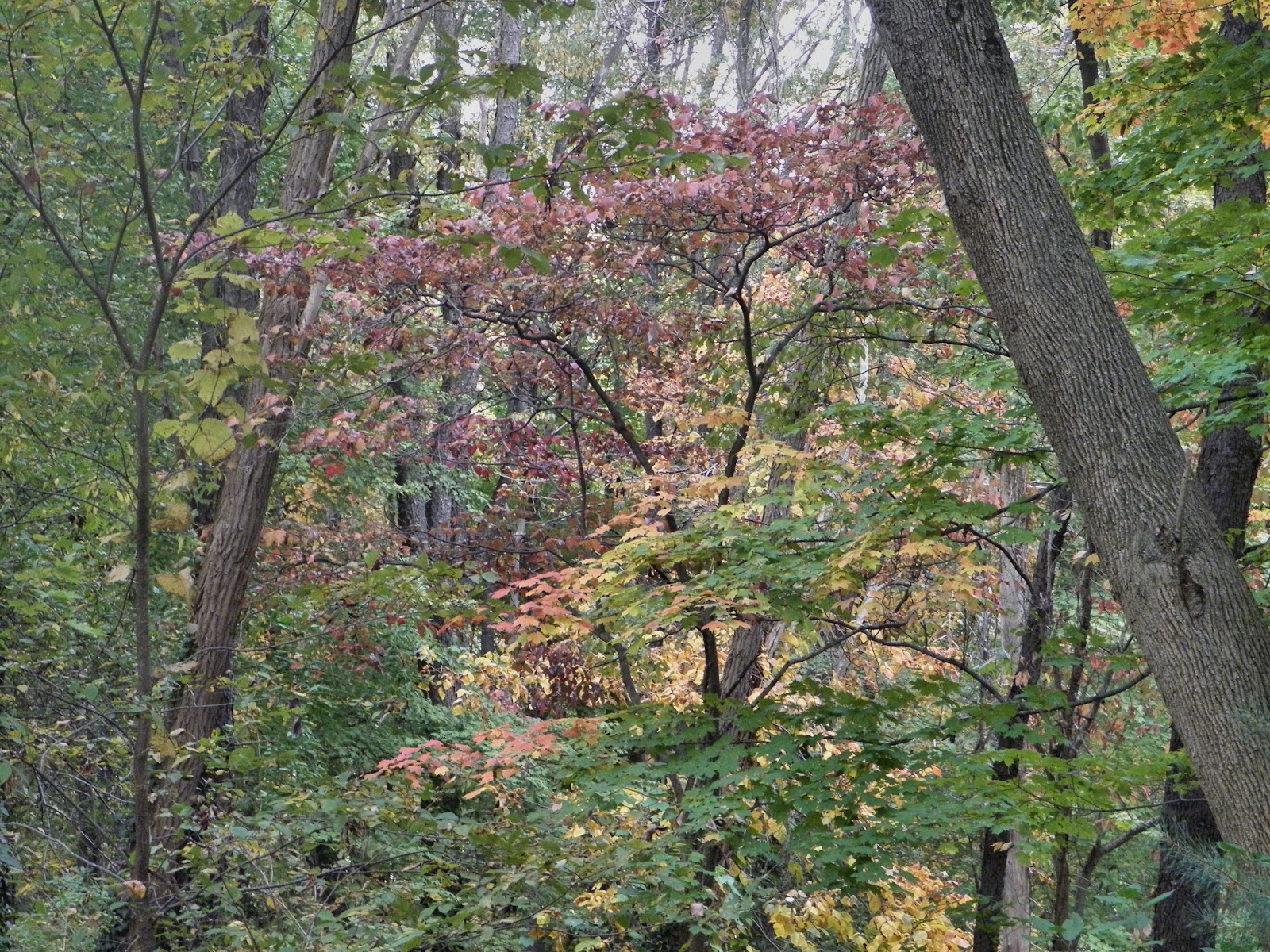 Fall Day October 8th, 2012