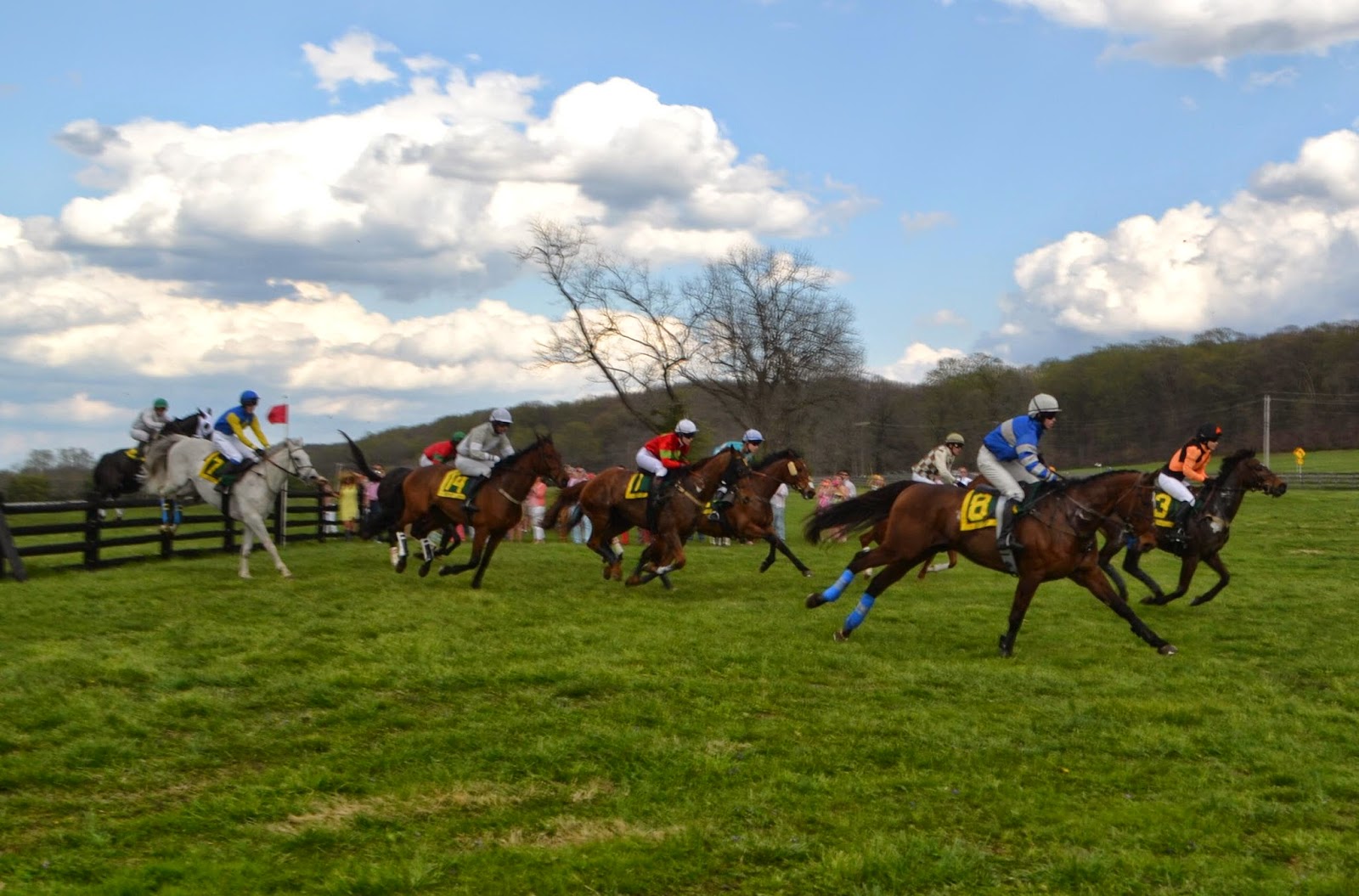 Let the Tide Pull Your Dreams Ashore: Maryland Hunt Cup