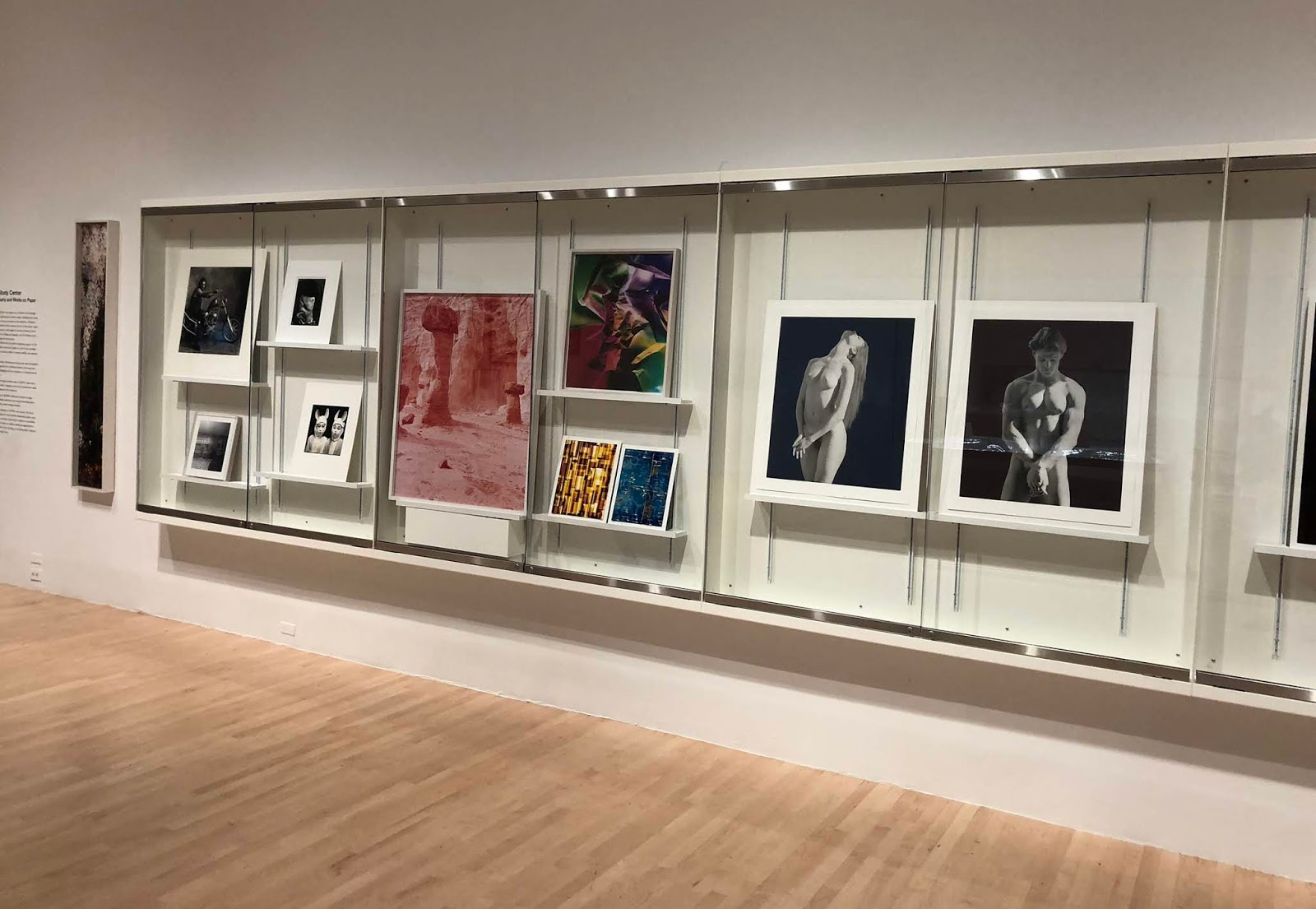 LACMA Debuts Stephen Reinstein Bequest, Briefly