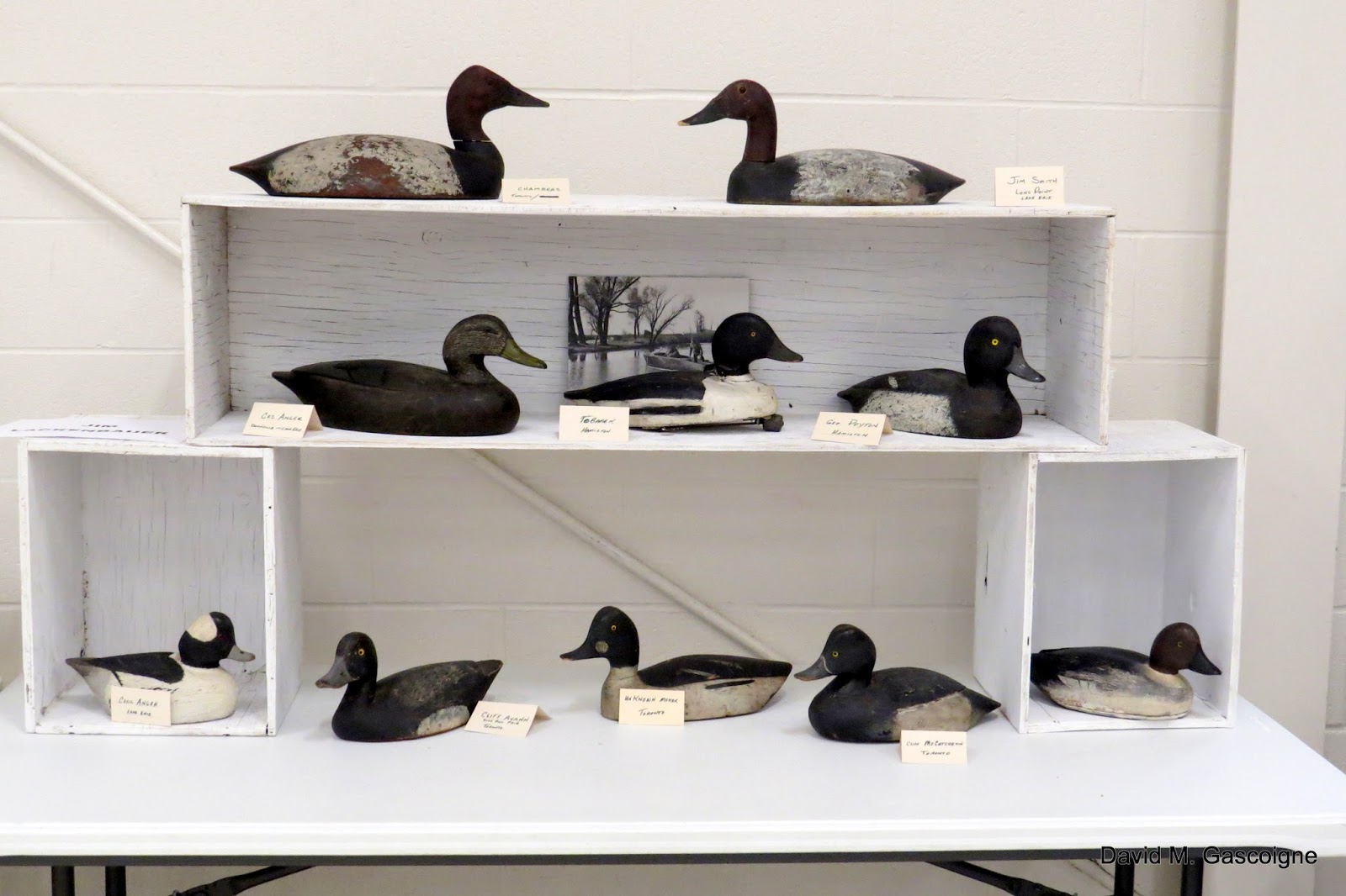 Canadian National Wildfowl Carving Championship - Travels With Birds