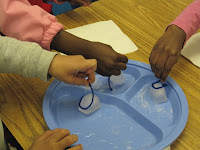 Ms.M's Blog: Science Fair Projects