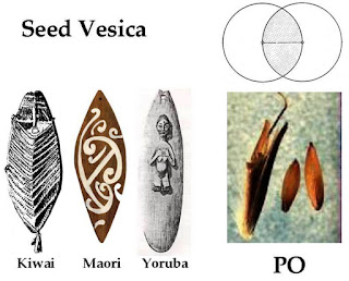 Instrumentos Musicais Afrikanos