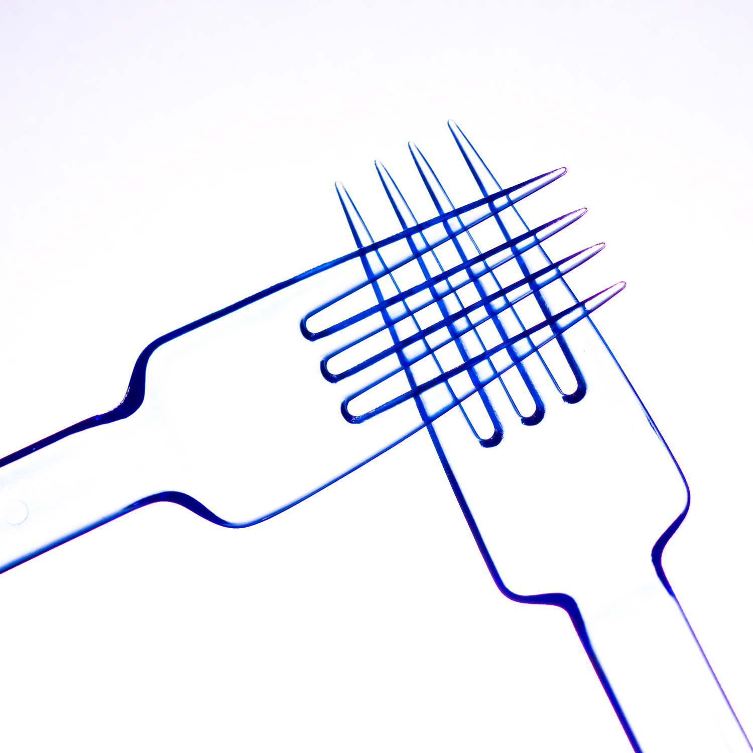 Trans Pond: crossing forks