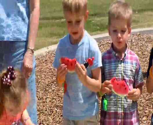 Keeping it Simple (KISBYTO): Spitting Water Melon Seeds - What great fun!!