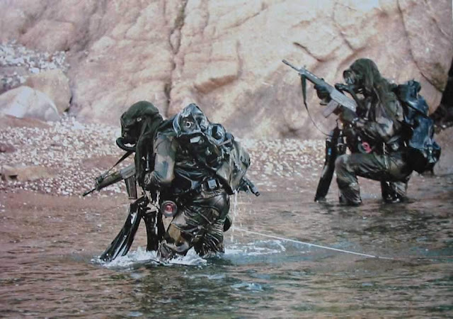 SEGURANÇA CORPORATIVA: O Grupamento de Mergulhadores de Combate (GRUMEC ...