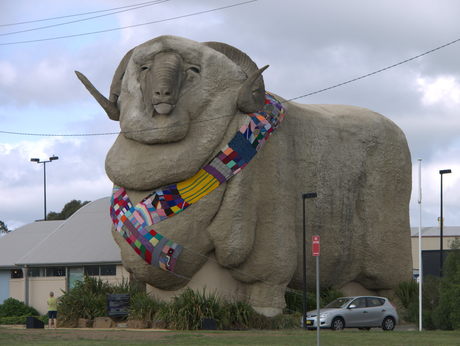 At the 'Rail': Day 80 - Wednesday 20th March - The big Merino