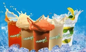 Vaango - South Indian Family Restaurant: October 2013