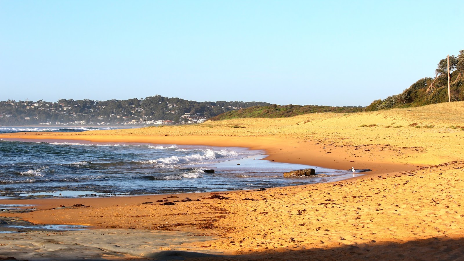 ROCK'S ADVENTURES: CENTRAL COAST - BEACHES - SPOON BAY - 3 March 2015