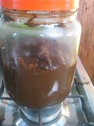 Cupulate, o chocolate de cupuaçu. Como fazer | Vera Paoloni