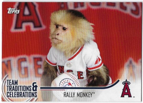 Things Done To Cards