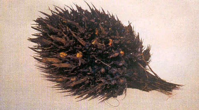 Mari Jadi Orang Baik: PENGGREDAN BUAH KELAPA SAWIT