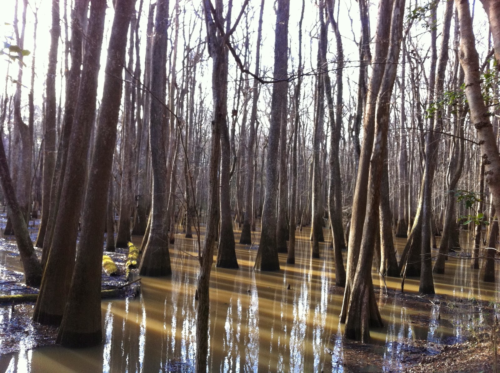 Gravity Wave: Continuum Unbound, Fall 2014