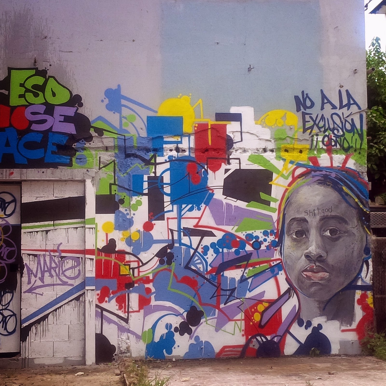 Luz Minerva Jewels: STREET ART AROUND THE UNIVERSITY OF PUERTO RICO ...