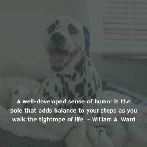 61 Funny quotes and sayings about life by famous people