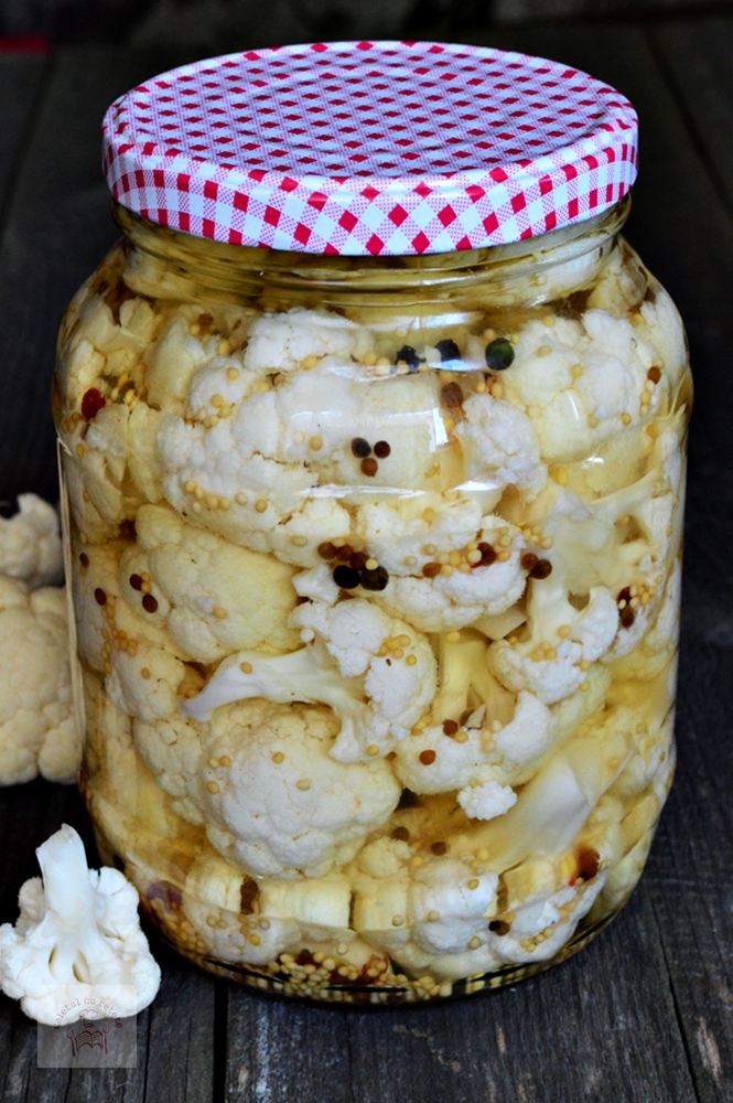 Conopida in otet - CAIETUL CU RETETE