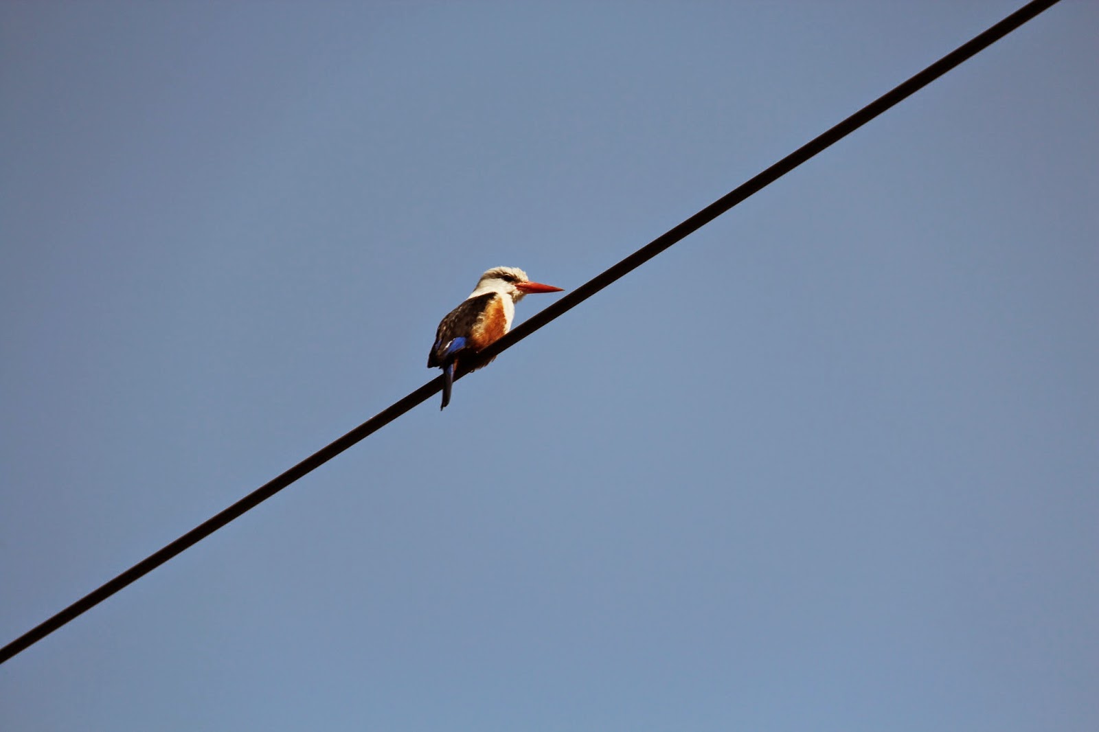 Europe through my lens: Cape Verde April 2014 - Part II: Road trip Santiago