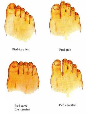Les types morphologiques de la main et des pieds