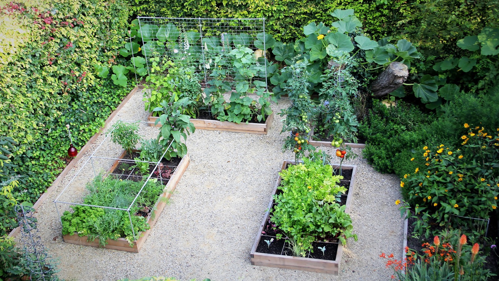 Een moestuin met houten moestuinbakken, precies zoals jij het wil!