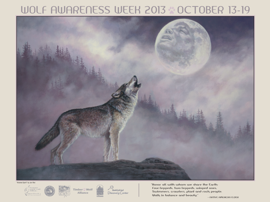 Stewards of the Northwoods: Call For Wildlife Artists: 2014 Wolf ...
