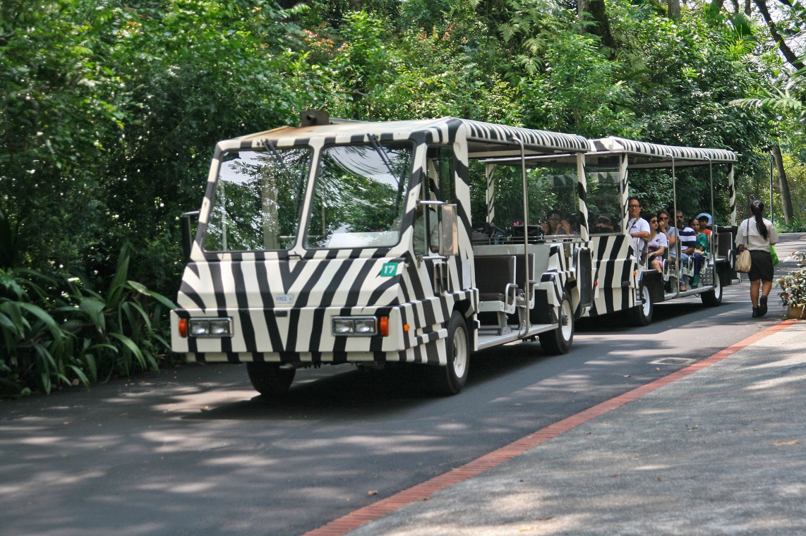 Journal of Life: Singapore Zoo - Part 1