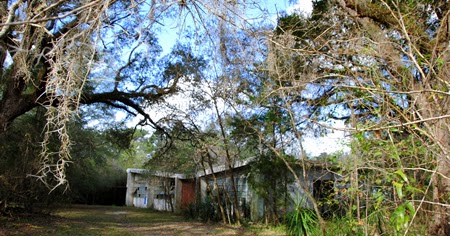 Desolation Florida: Separate but Equally Desolate
