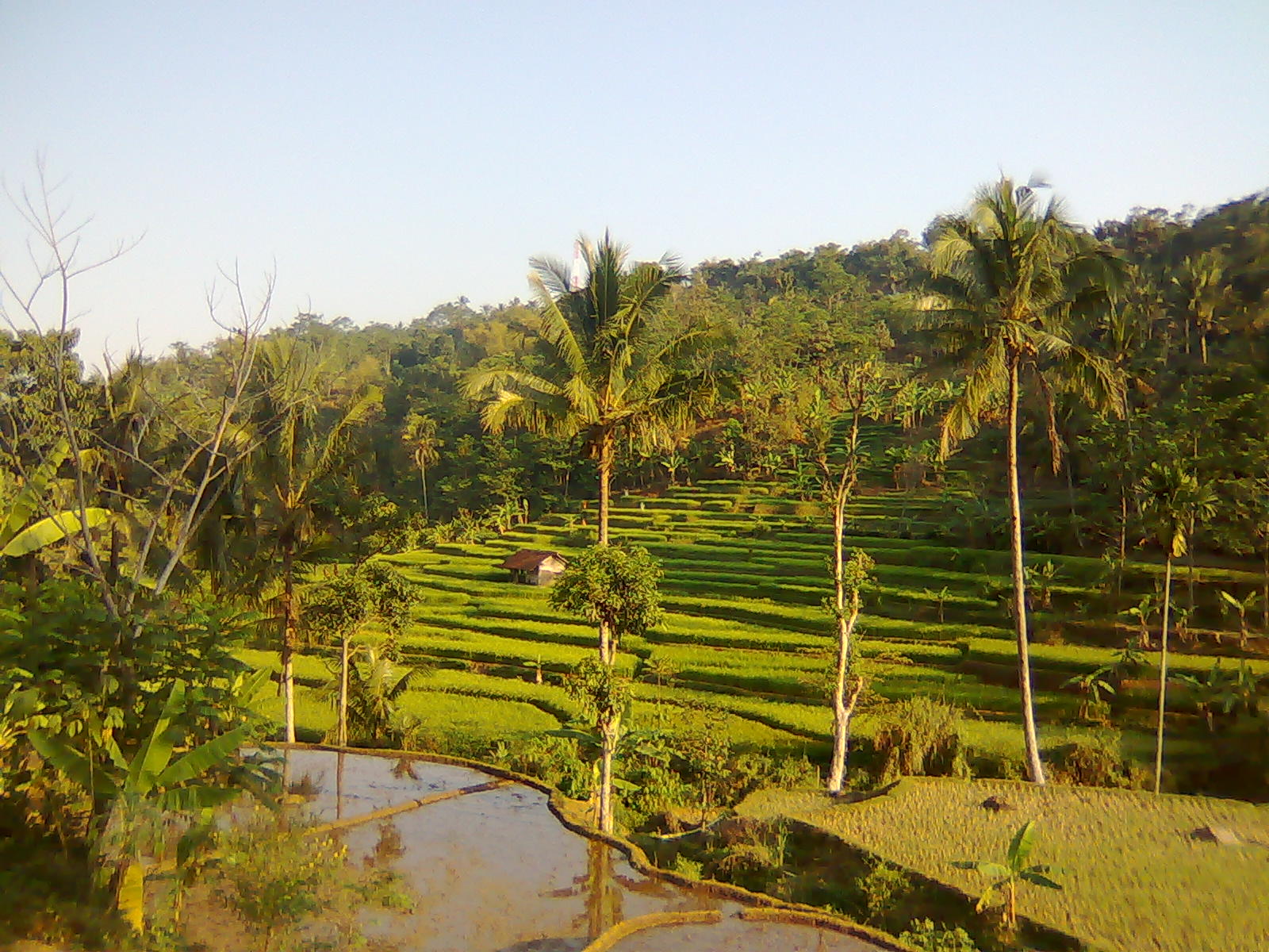 MY BEAUTYFULL SUNDA (TANAH SUNDA URANG NU ENDAH ): the best of my ...